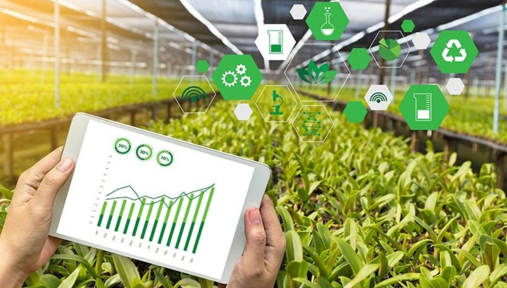 Donde hay innovación, hay esperanza: Haciendo accesible la Agritech a ...